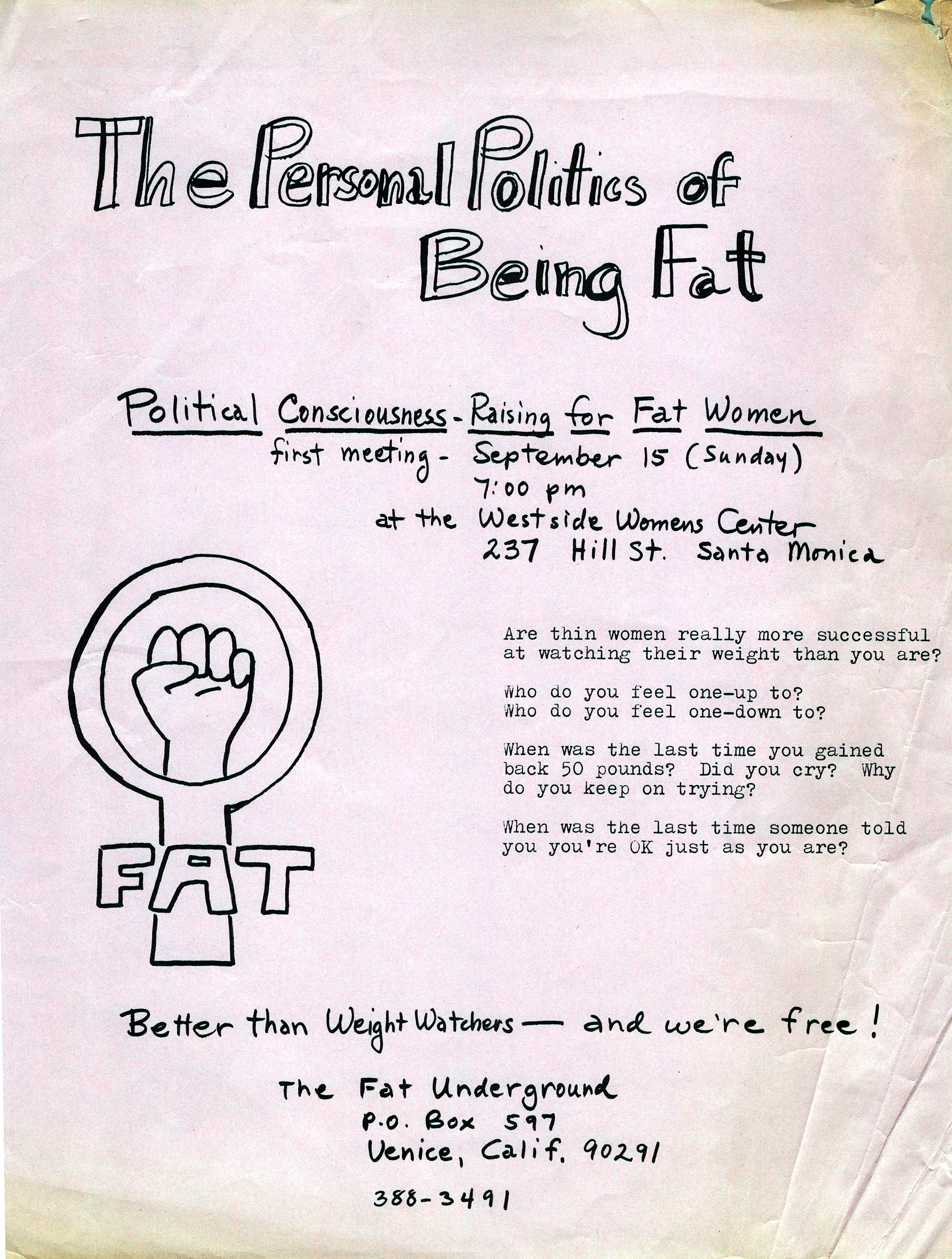 The Personal Politics of Being Fat Political Consciousness Raising for ...